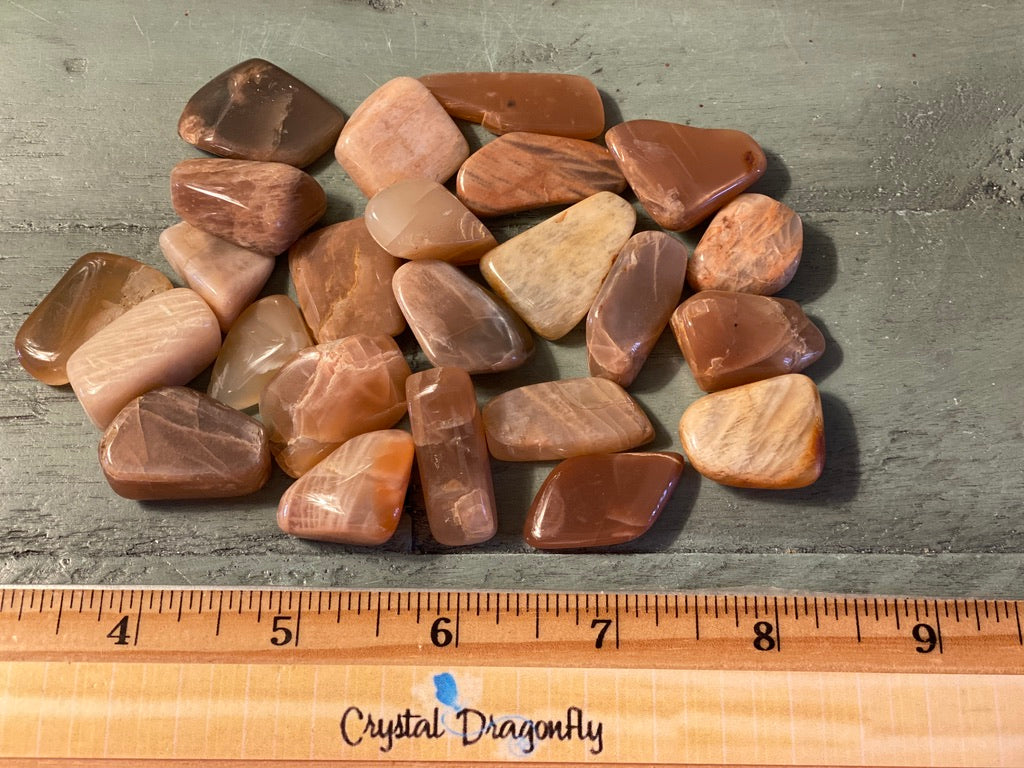 Tumbled Coffee Moonstone